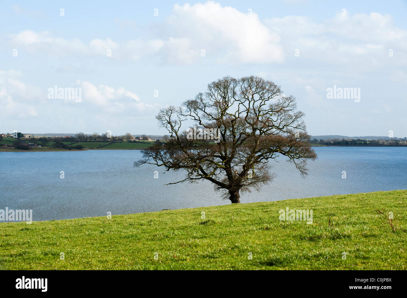 Blithfield Reservoir in Staffordshire, England, United Kingdom Stock ...