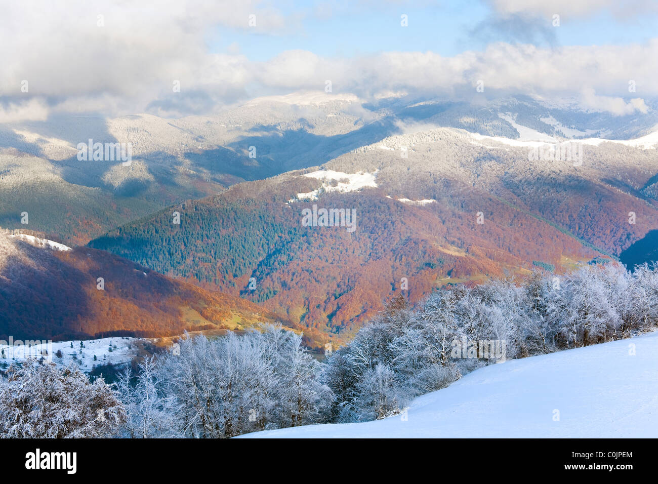 October mountain beech forest edge with first winter snow and last ...