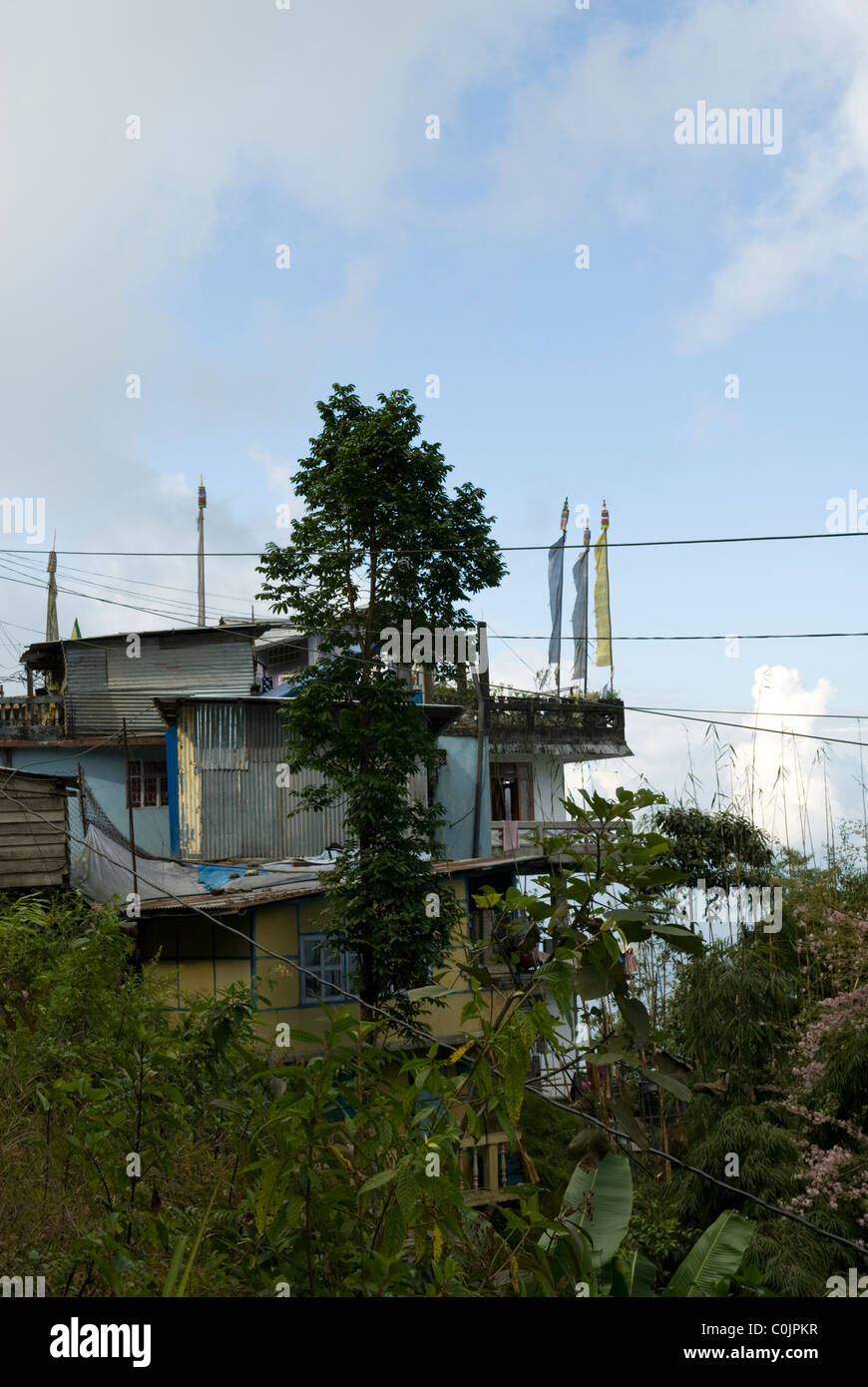 A remote hill village house overlooking the tea plantations of ...