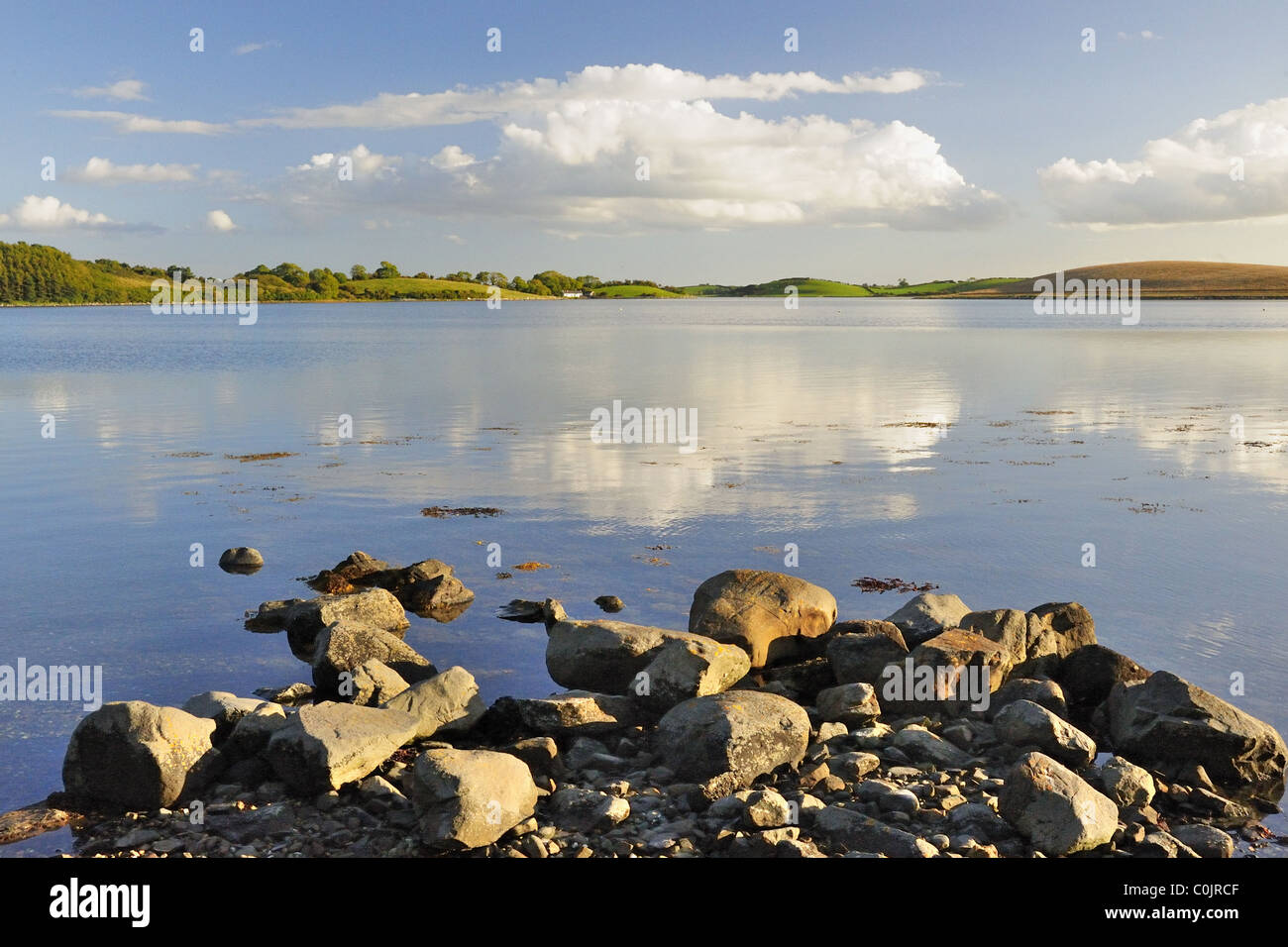 View of Conly Island, Strangford Lough, Northern Ireland Stock Photo ...