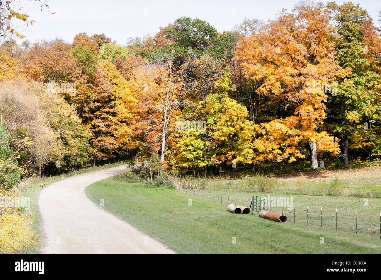 Gravel road autumn forest hi-res stock photography and images - Alamy