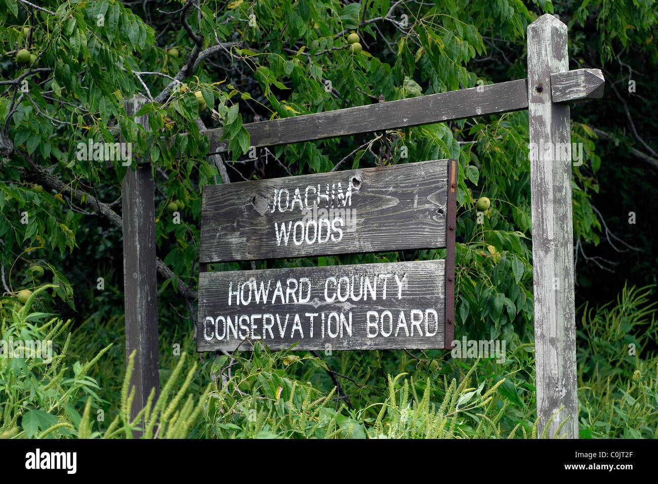 Joachim Woods Wildlife Area. Iowa forest area Stock Photo - Alamy