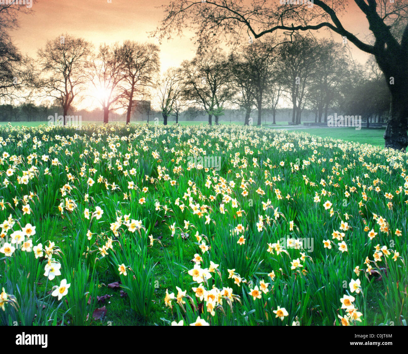 Hyde park london location hi-res stock photography and images - Alamy