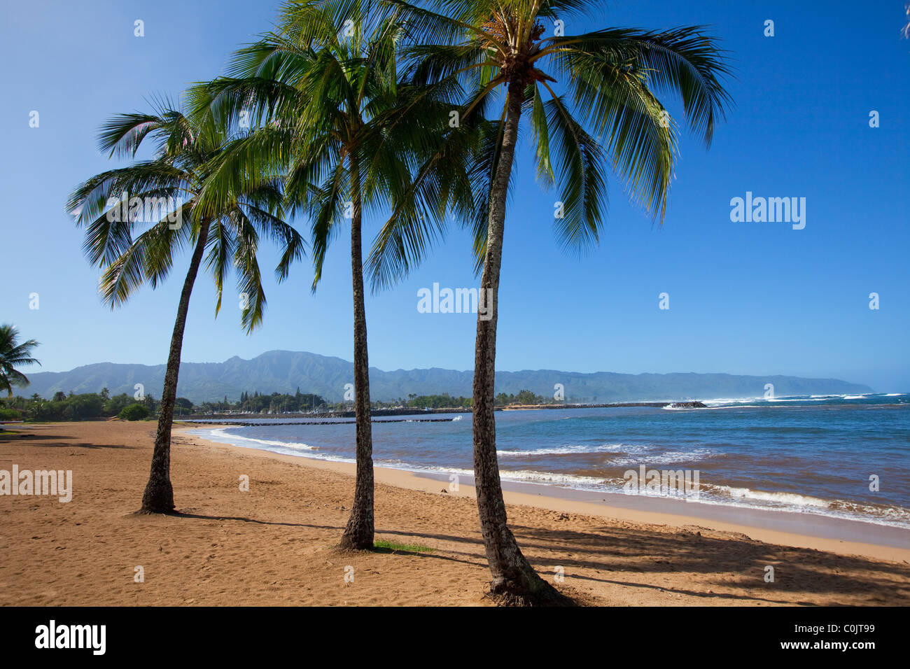 North Shore Beach Oahu Hawaii High Resolution Stock Photography and ...