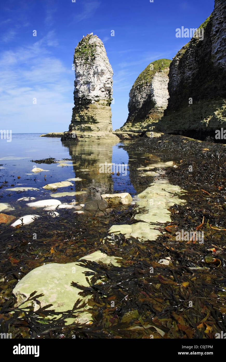 Flamborough head hi-res stock photography and images - Alamy