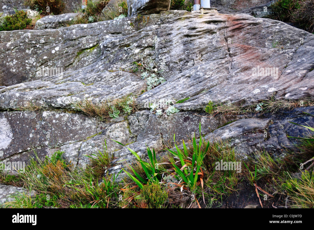 Table mountain sandstone hi-res stock photography and images - Alamy