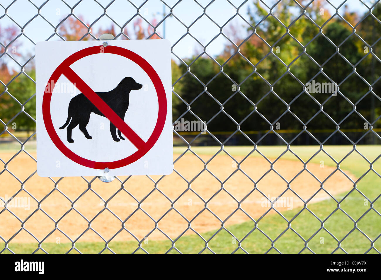A no dogs allowed inside sign bolted to a chain link fence at a local ...
