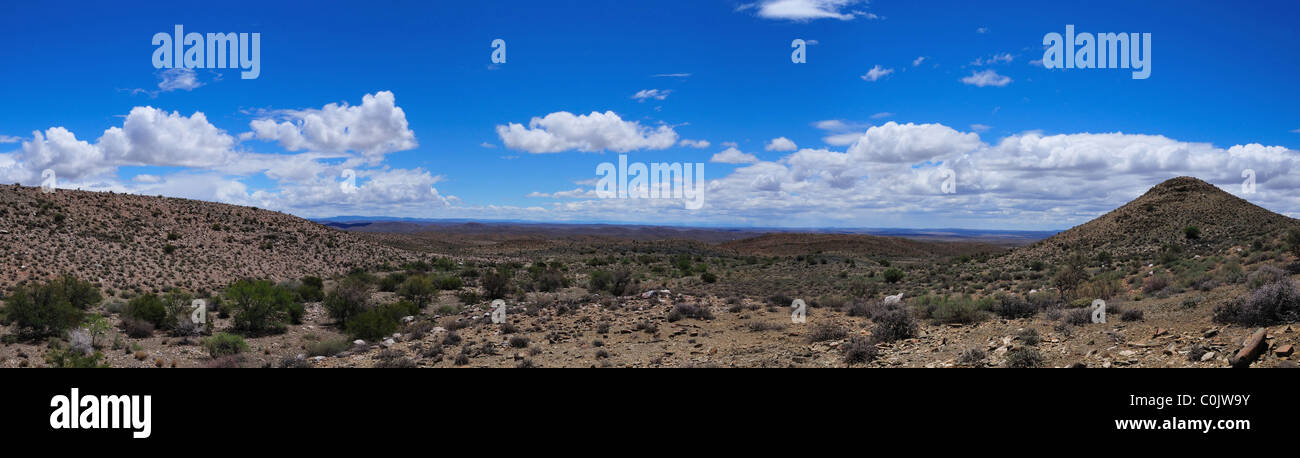 Karoo desert hi-res stock photography and images - Alamy