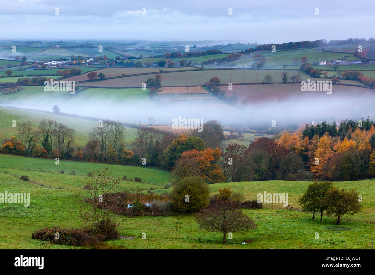 Patchwork fields in countryside near Shobrooke, Devon, England, United ...