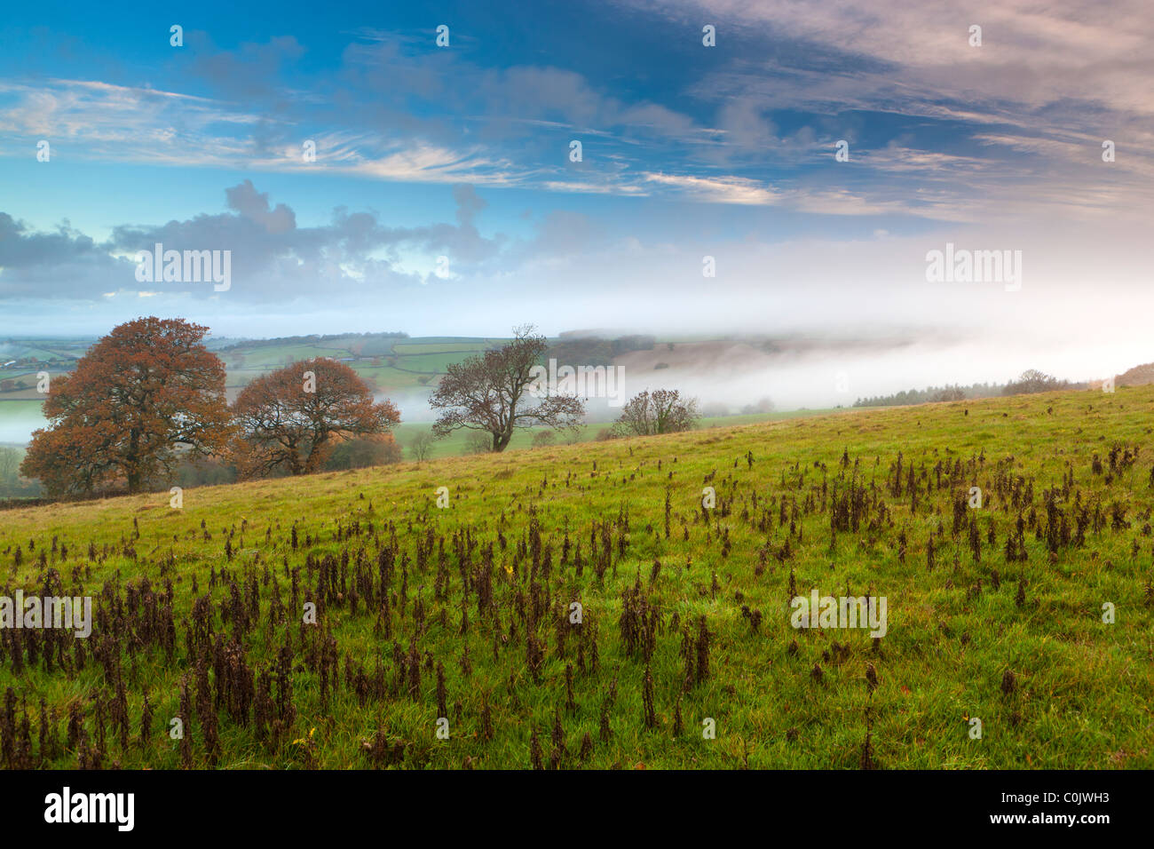 Shobrooke hi-res stock photography and images - Alamy
