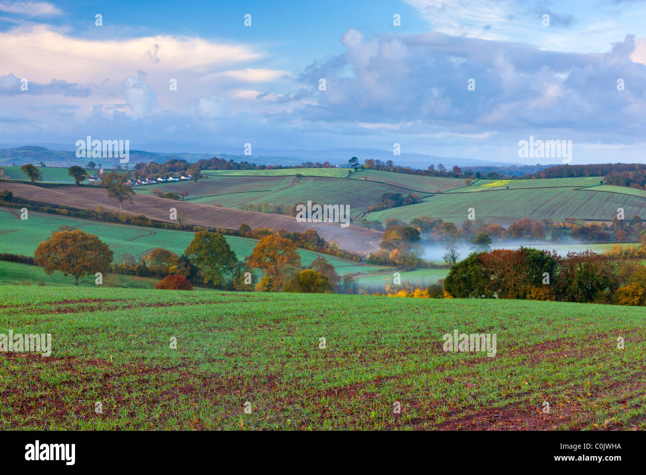 Devon landscape hi-res stock photography and images - Alamy