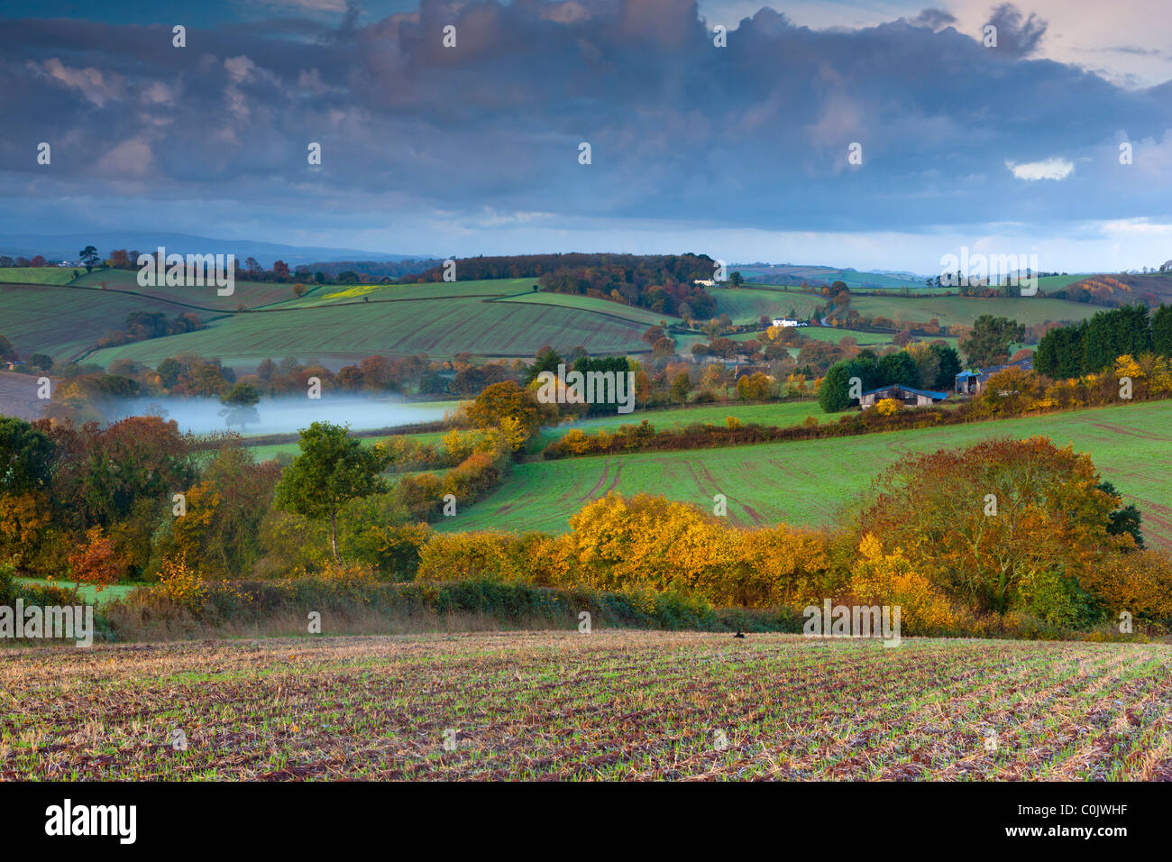 Patchwork fields in countryside near Shobrooke, Devon, England, United ...