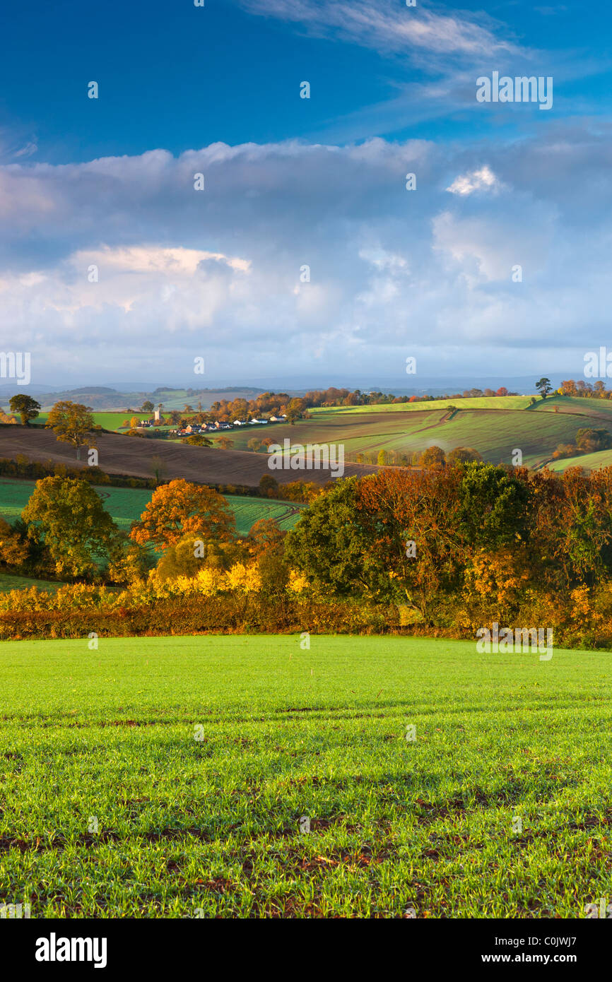 Patchwork fields in countryside near Shobrooke, Devon, England, United ...