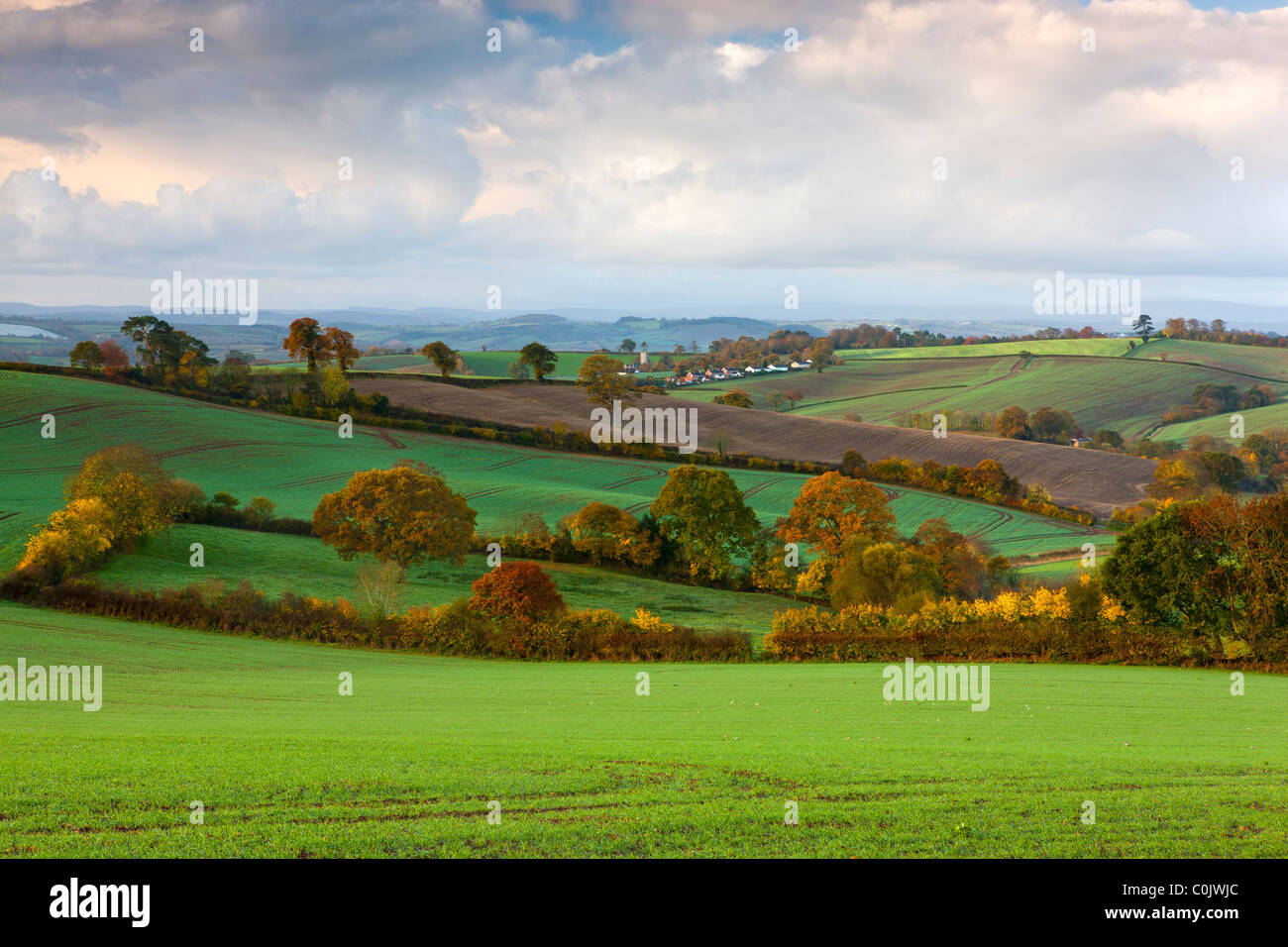 Patchwork fields in countryside near Shobrooke, Devon, England, United ...