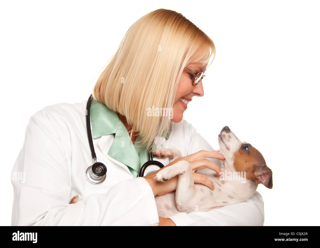 Pretty Female Doctor Veterinarian Tickles a Small Puppy Isolated on a ...