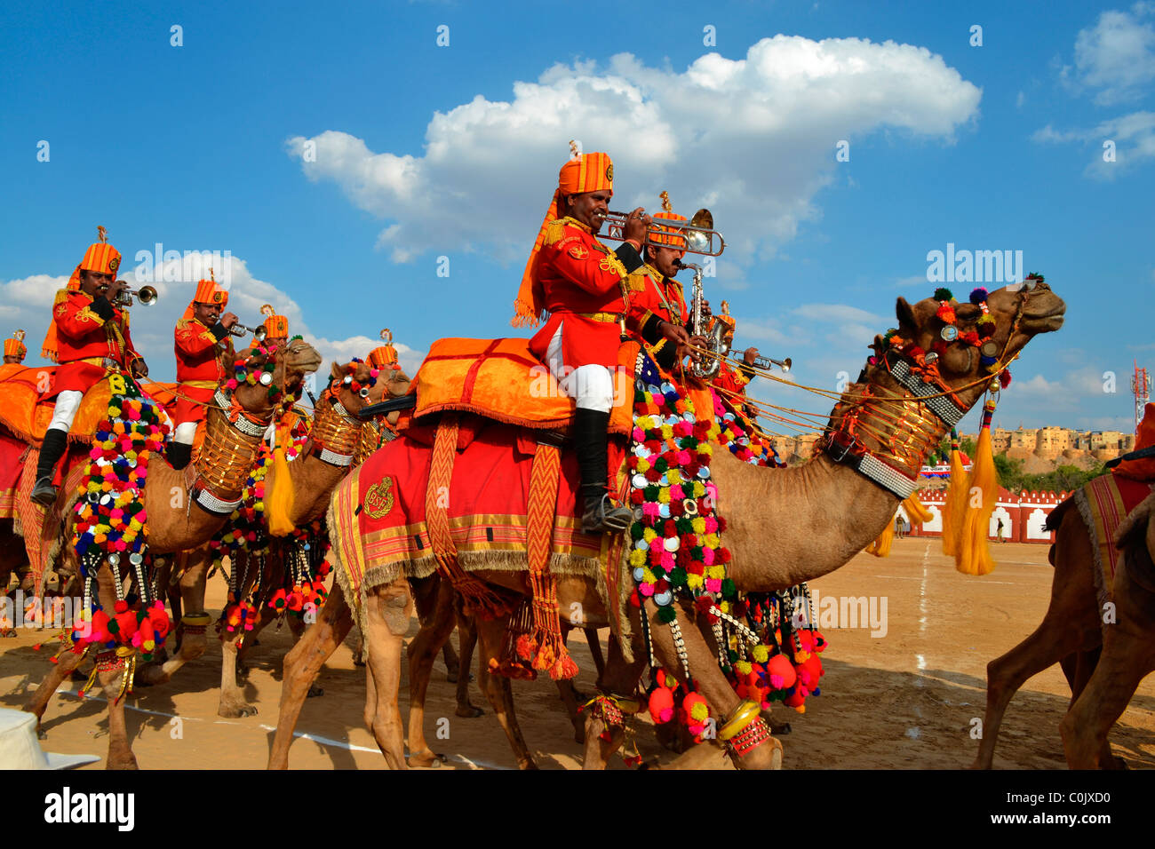 camel show in jaisalmer, Rajasthan, India Stock Photo - Alamy