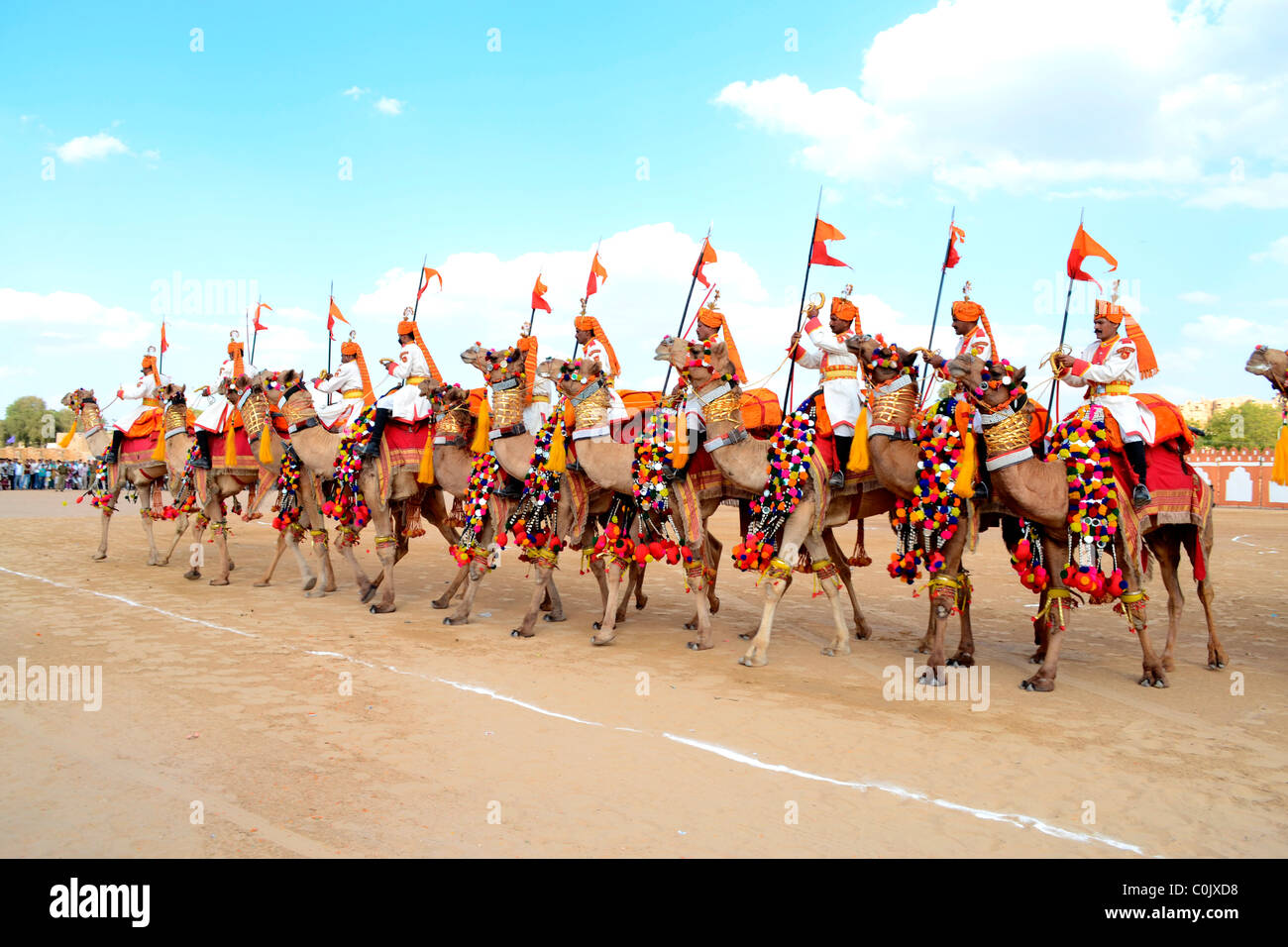 Camel show hi-res stock photography and images - Alamy