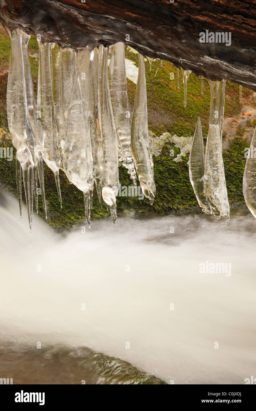 Jones River, Shenandoah National Park, Virginia, USA Stock Photo - Alamy
