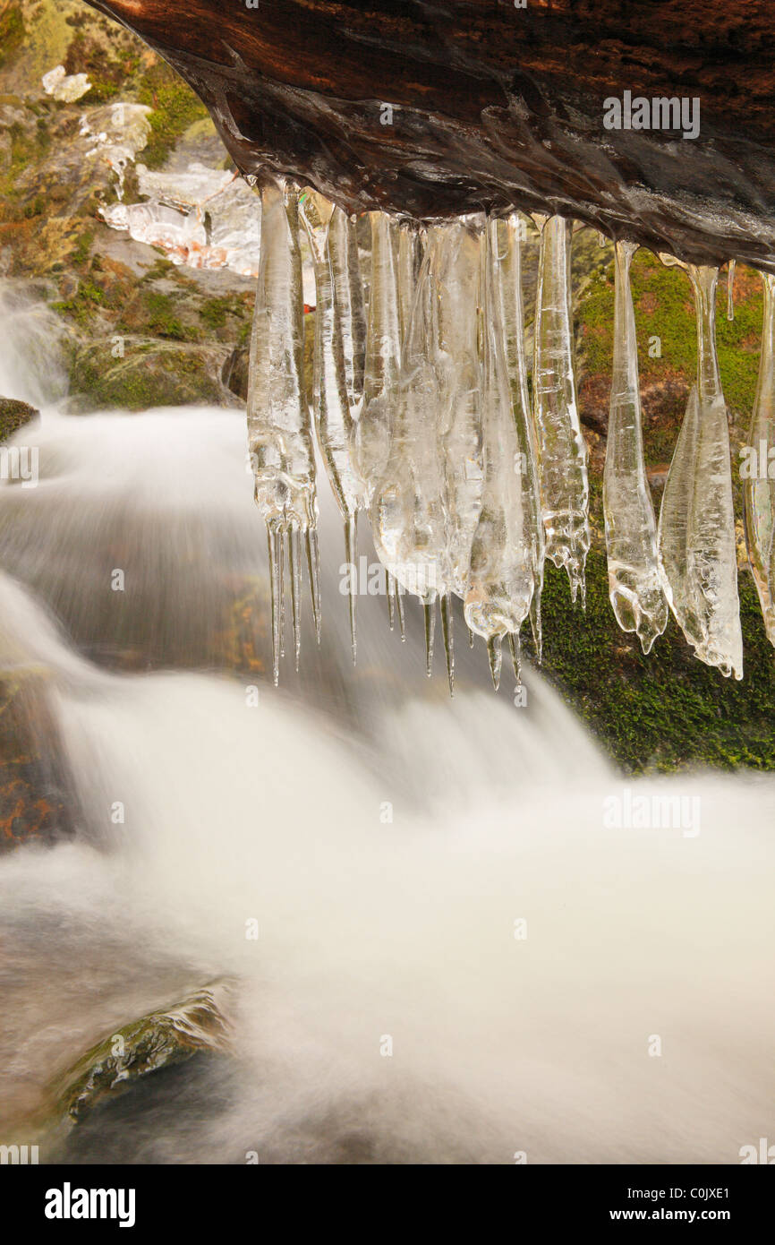 Jones River, Shenandoah National Park, Virginia, USA Stock Photo - Alamy