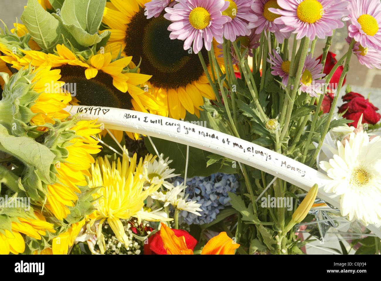 Memorial for cyclist Alice Swanson who was run over and killed by a ...
