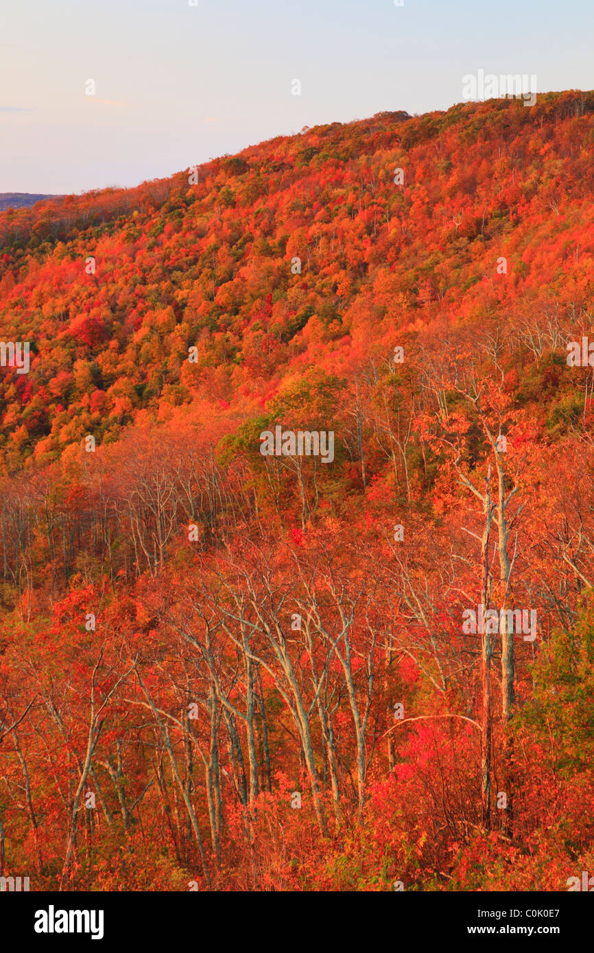 Sunrise, Moormans River Overlook, Shenandoah National Park, Virginia ...