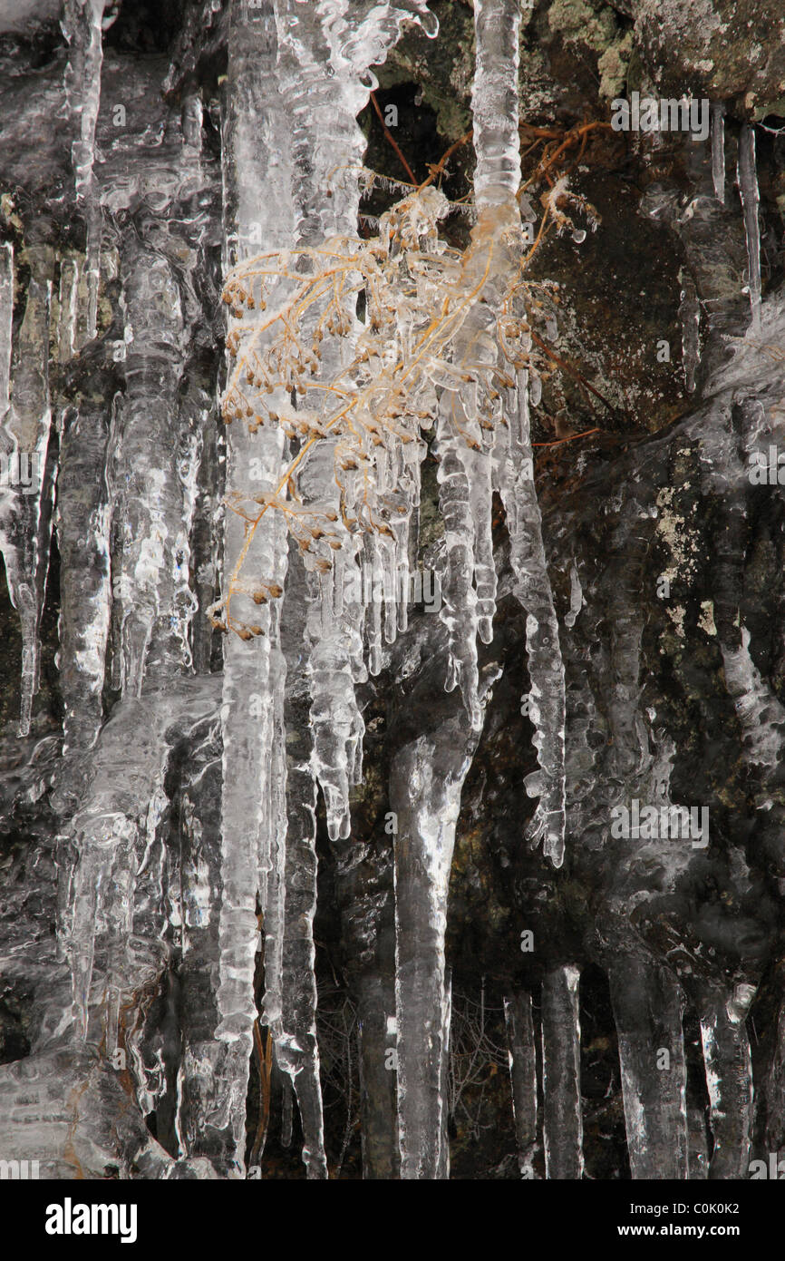 Sandy bottom nature park hi-res stock photography and images - Alamy