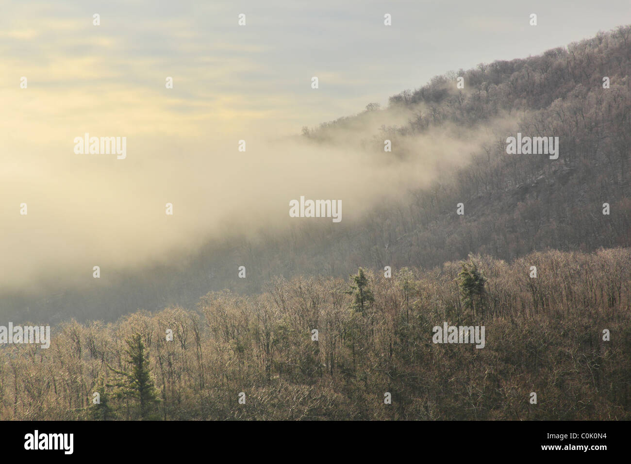 Swift Run Gap, Shenandoah National Park, Virginia, USA Stock Photo - Alamy