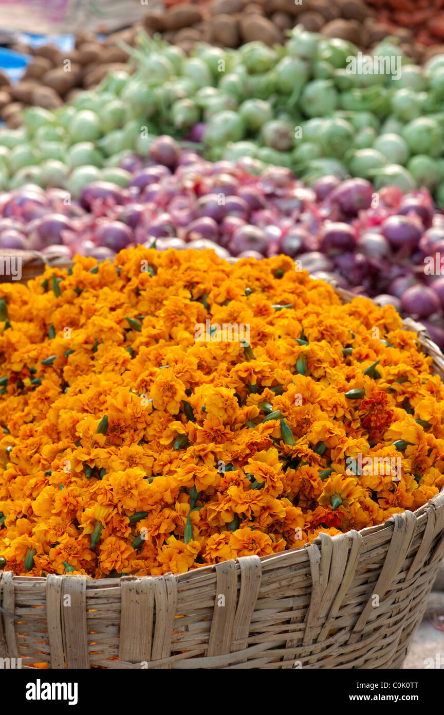 Indian money garland hi-res stock photography and images - Alamy