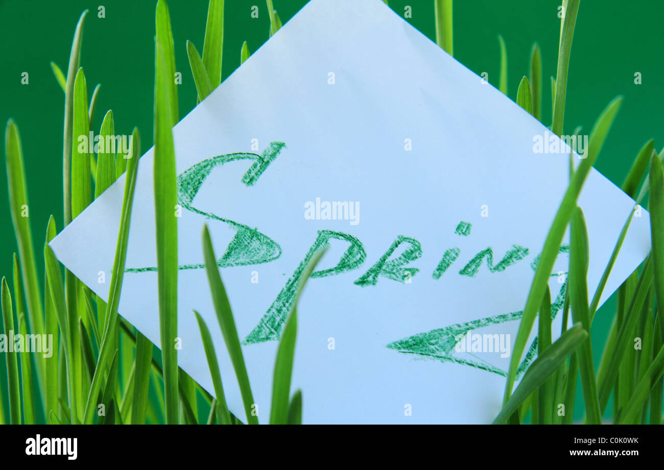 Green grass with a sticker "Spring" Spring Concept Stock Photo - Alamy