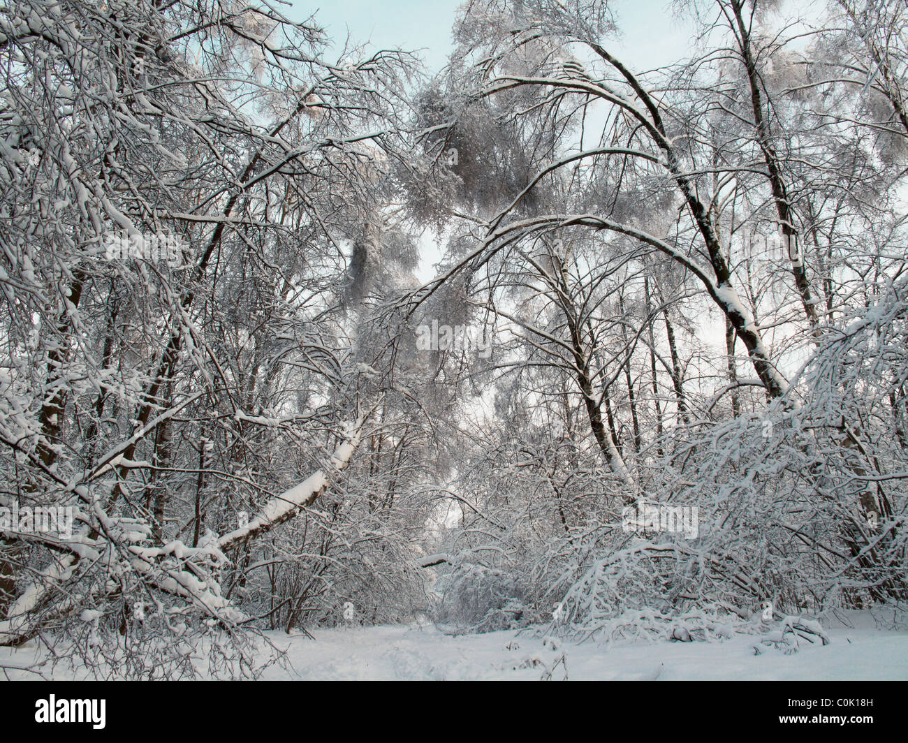 Bitsevsky hi-res stock photography and images - Alamy