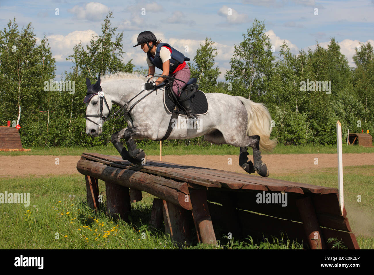 Free jumping horse hi-res stock photography and images - Alamy