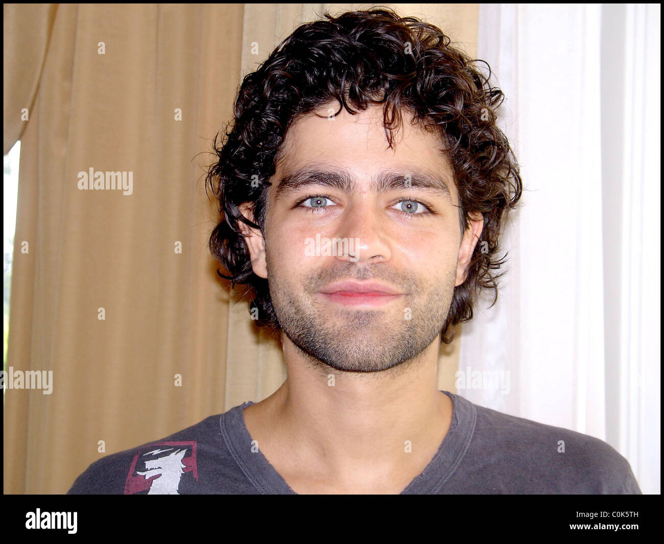 Adrian Grenier attends a photocall Beverly Hills, California - 25.04.08 ...
