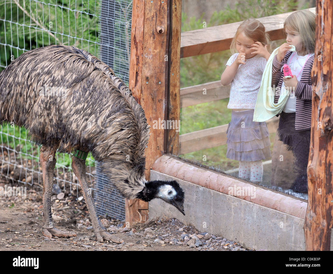 London Zoo's Mappin Terrace, once home to polar bears, is 'heating up ...