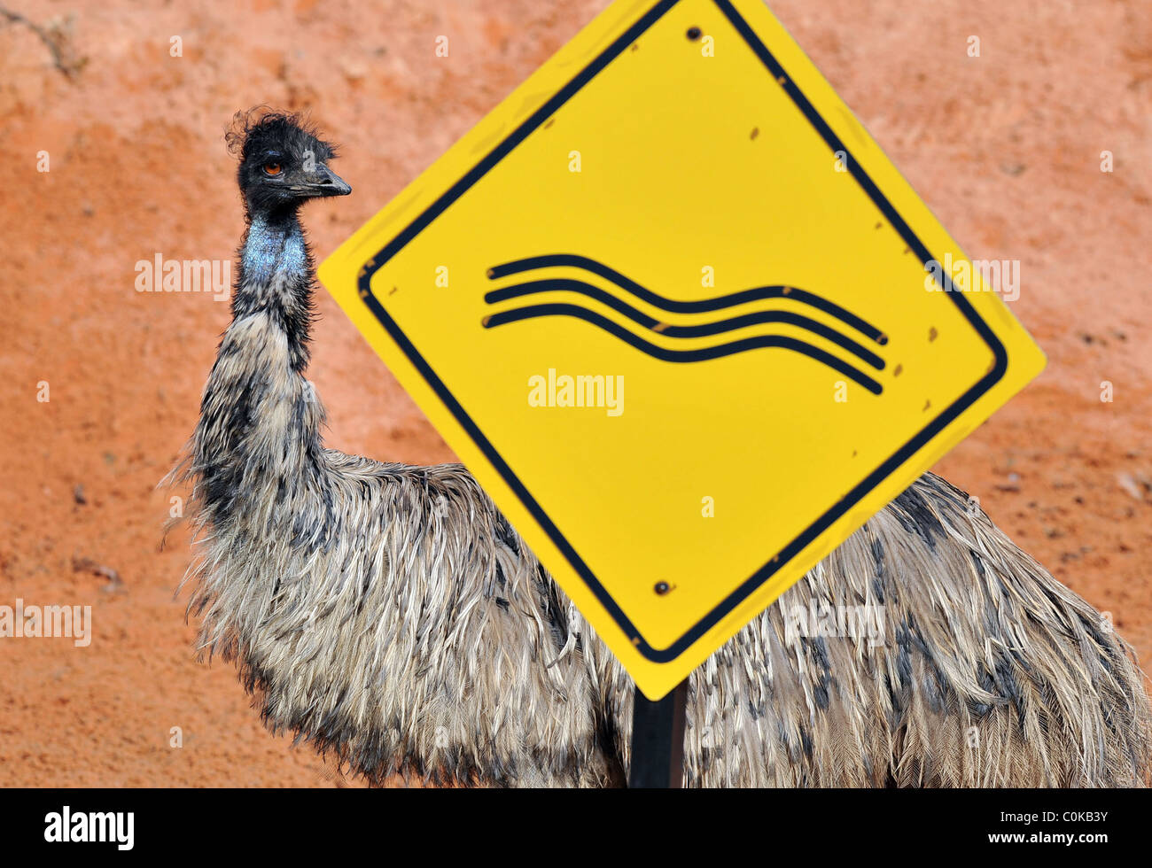 London Zoo's Mappin Terrace, once home to polar bears, is 'heating up ...