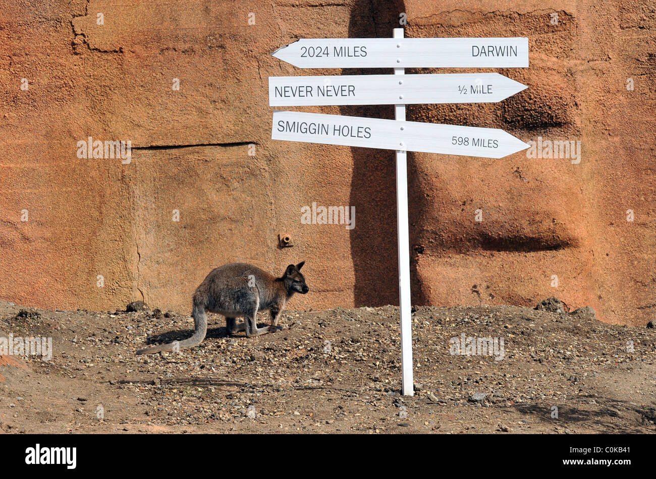 London Zoo's Mappin Terrace, once home to polar bears, is 'heating up ...