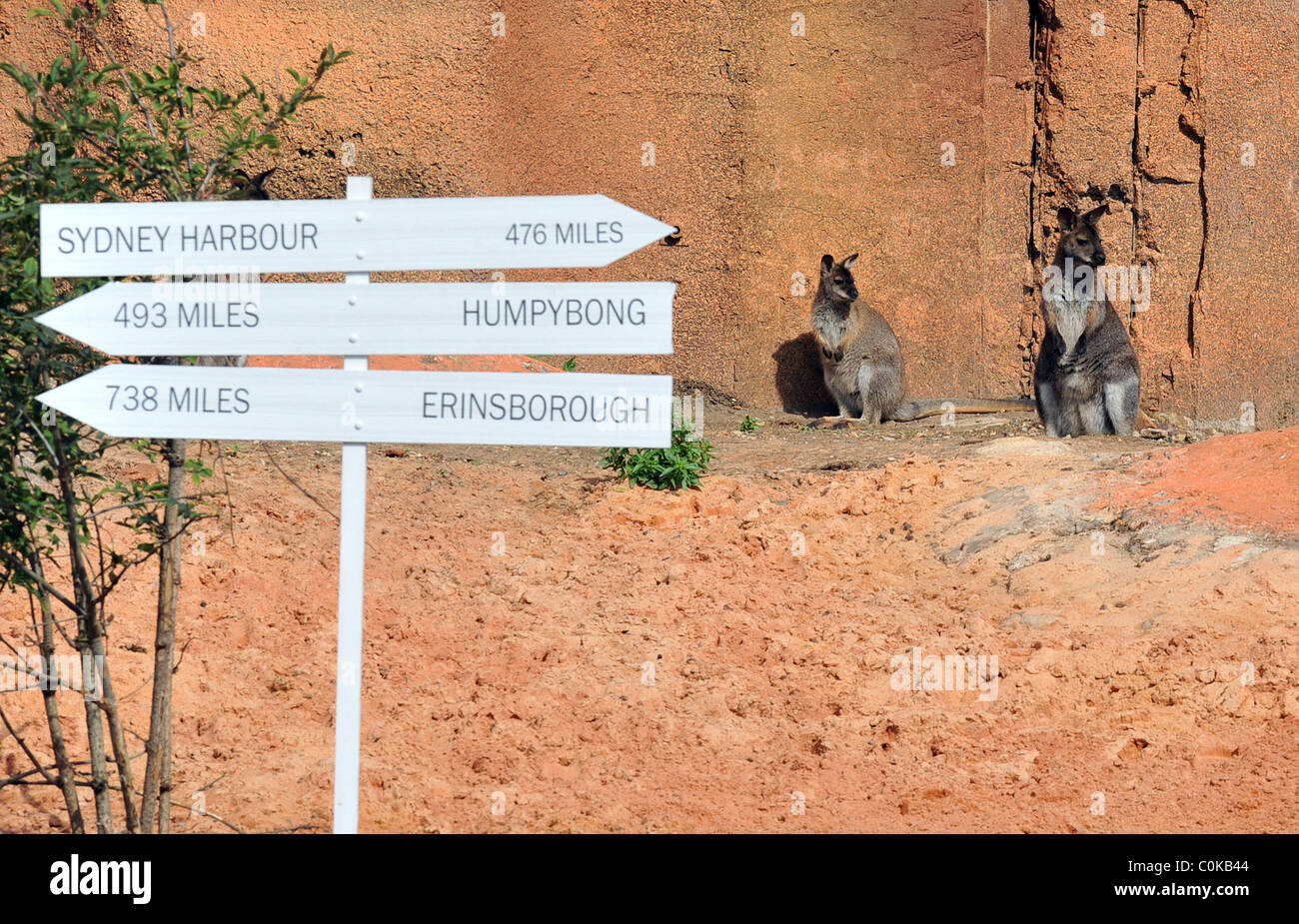 London Zoo's Mappin Terrace, once home to polar bears, is 'heating up ...