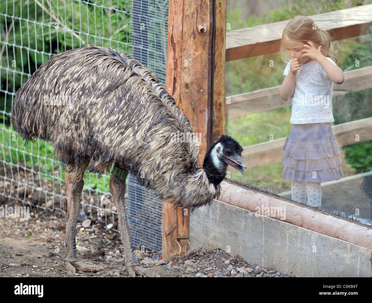 London zoo mappin terrace hi-res stock photography and images - Alamy
