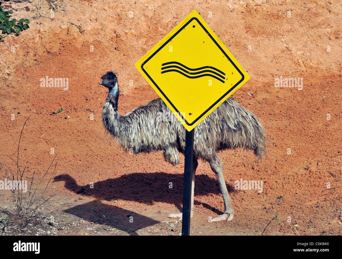 London Zoo's Mappin Terrace, once home to polar bears, is 'heating up ...