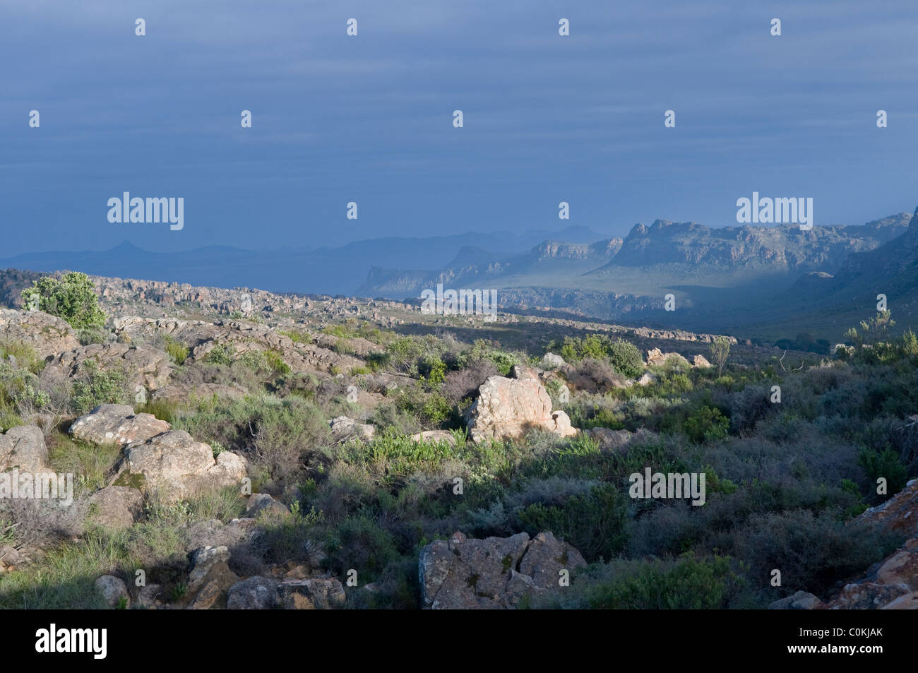 Cedarberg Mountains, South Africa Stock Photo - Alamy