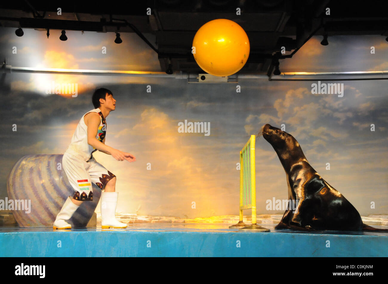 Animals participate in a pre Olympic show Harbin, China - 04.08.08 ...