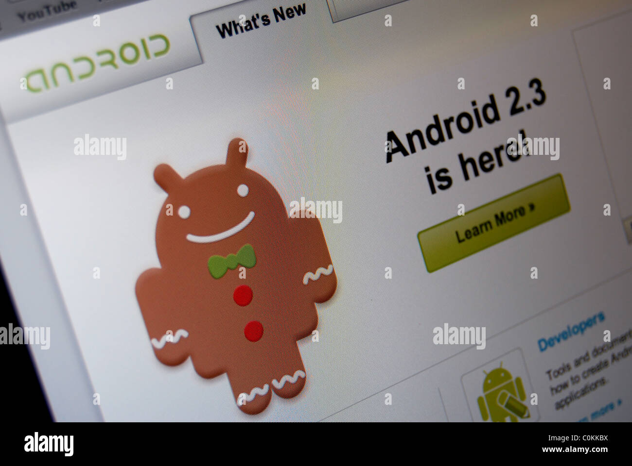 Android Gingerbread Logo
