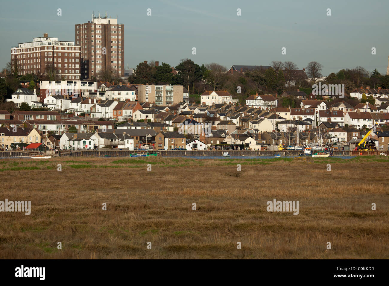 Flats & Houses at Old Leigh Stock Photo - Alamy