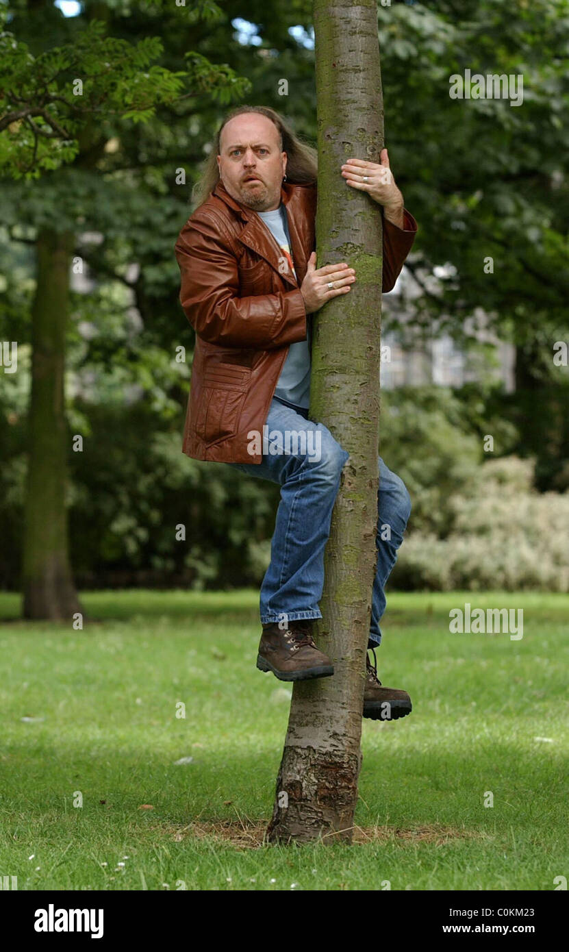 comedian Bill Bailey up a tree Stock Photo - Alamy