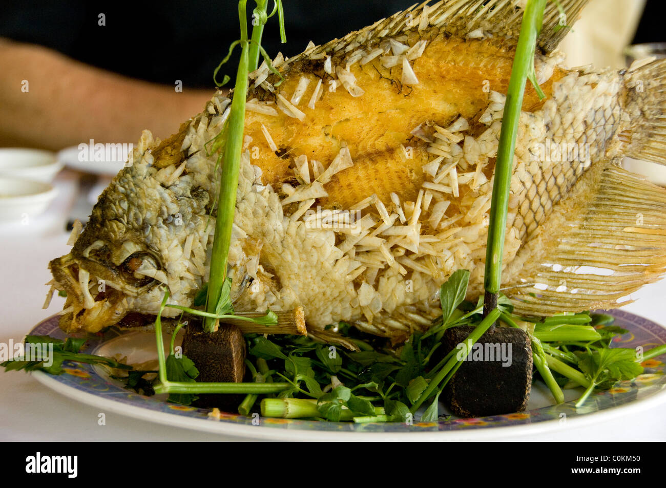 Asia, Vietnam, Ho Chi Minh City (aka Saigon). Thoi Son Island located ...