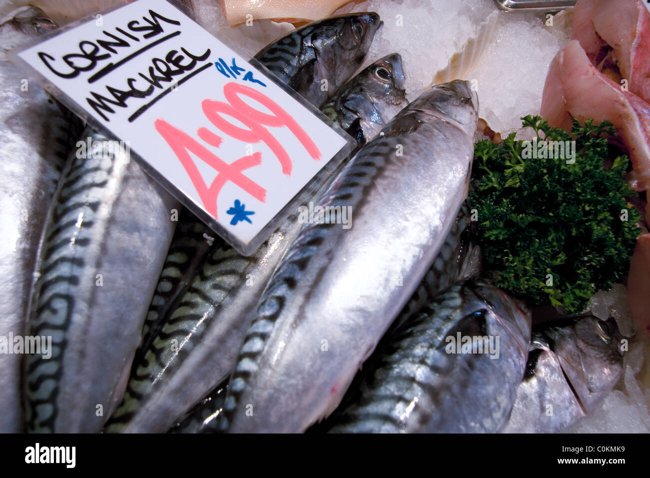 Cornish fresh fish hi-res stock photography and images - Alamy