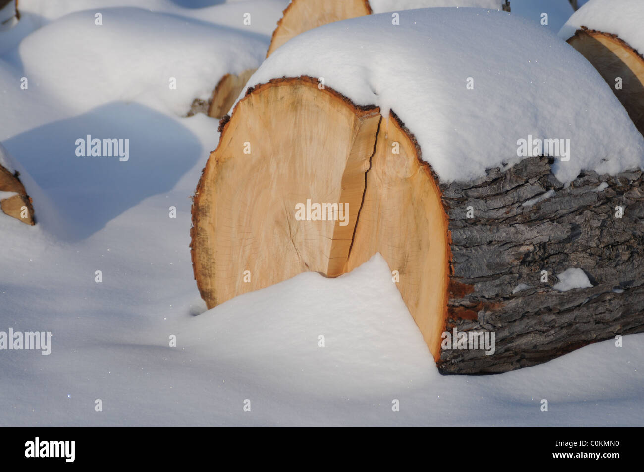 snow covered log Stock Photo - Alamy