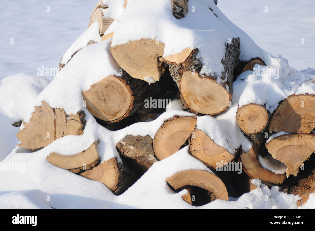 Snow covered firewood Stock Photo - Alamy