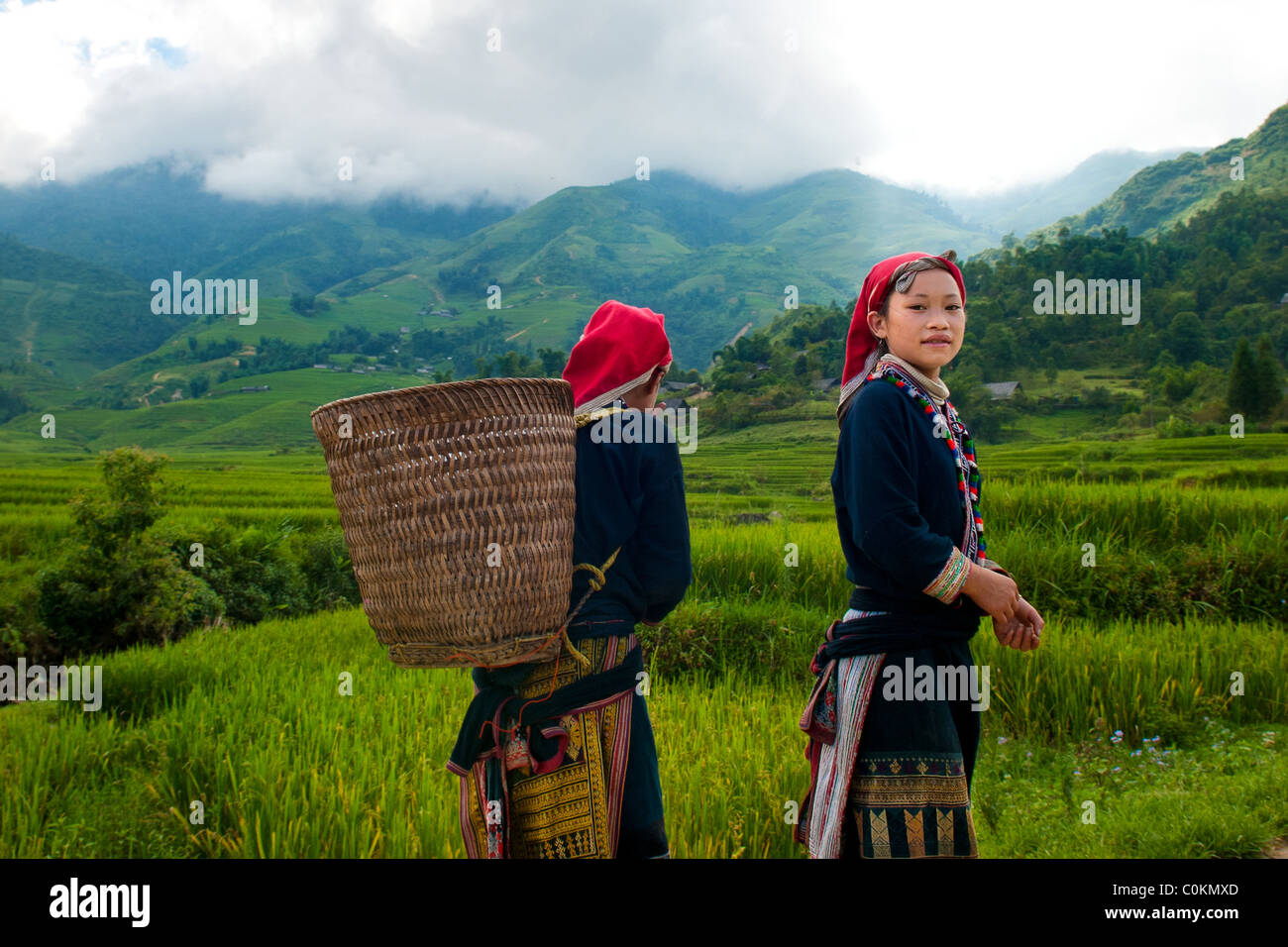 Dao region hi-res stock photography and images - Alamy