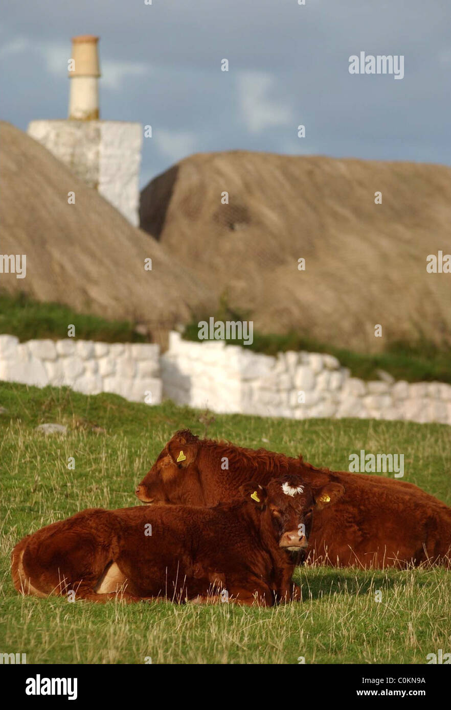 Tiree island hi-res stock photography and images - Alamy
