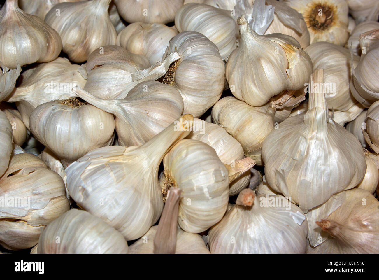 Pile of garlic cloves hi-res stock photography and images - Alamy